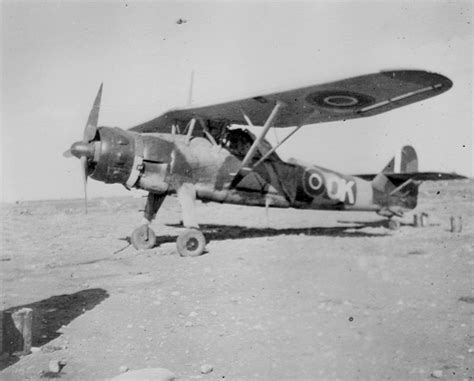 450 Sqn Raafs Captured Hs 126 Ok