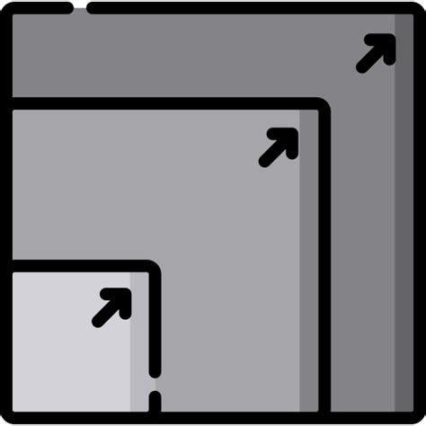Resize Special Lineal Color Icon