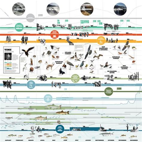 Malbork Urban Bachelor Thesis Project Urban Design Graphics Architecture Design Concept