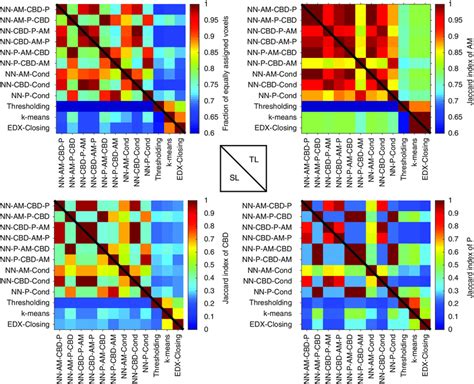 Fraction Of Equally Assigned Voxels Top Left As Well As Jaccard Index Download Scientific