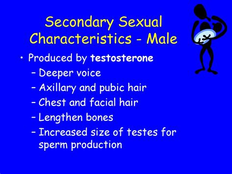 human reproductive system ppt download