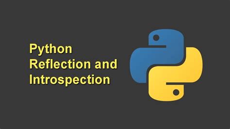 Python Reflection And Introspection Explained