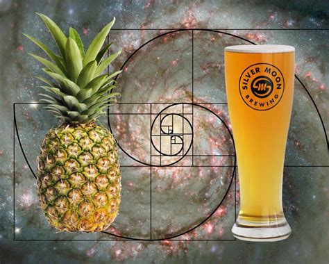 Fibonacci Sequence In Food