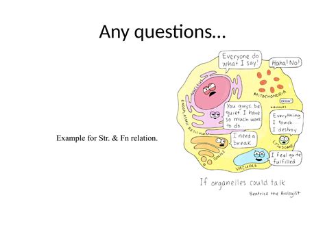 Structure And Function Relationship In Glaucoma Vapi Meet Dr Mananpptx