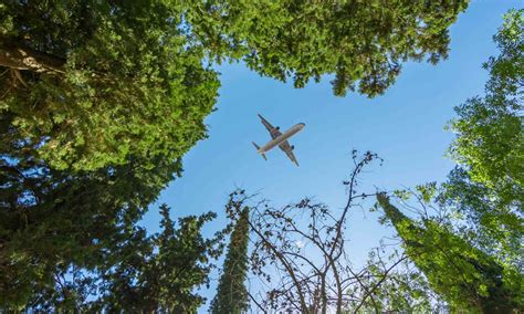 Carbon Offsetting For Private Flights Acc Aviation