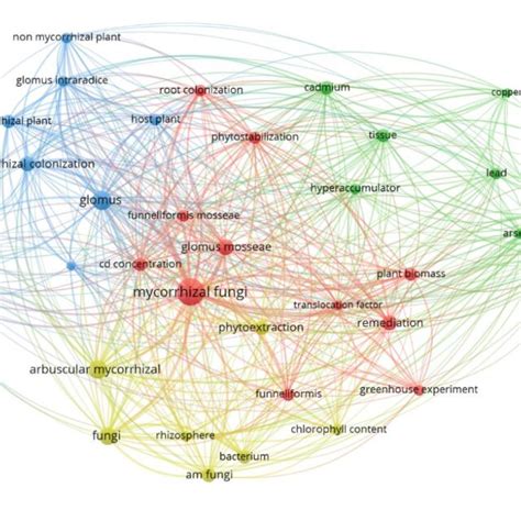 Network Visualization Map Generated By The Vosviewer Software From The Download Scientific