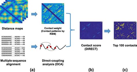 Direct Rna Contact Predictions By Integrating Structural Patterns Rna Seq Blog