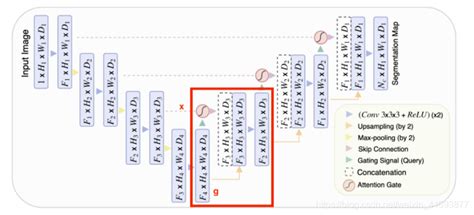 Attention Unet结构及pytorch实现attention Unet Pytorch Csdn博客