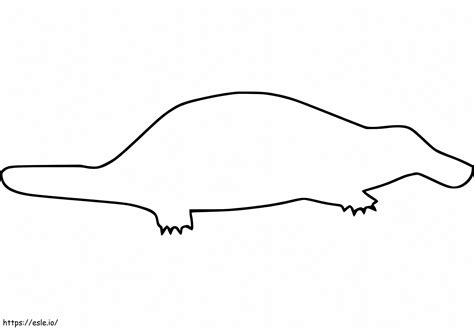 Platypus Blank Coloring Page