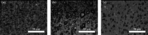 Optical Micrograph Of A Unimplanted Zone A B Interface Between The