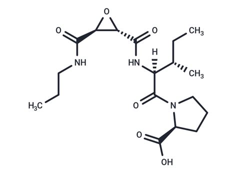 Ca 074 Cysteine Protease Targetmol