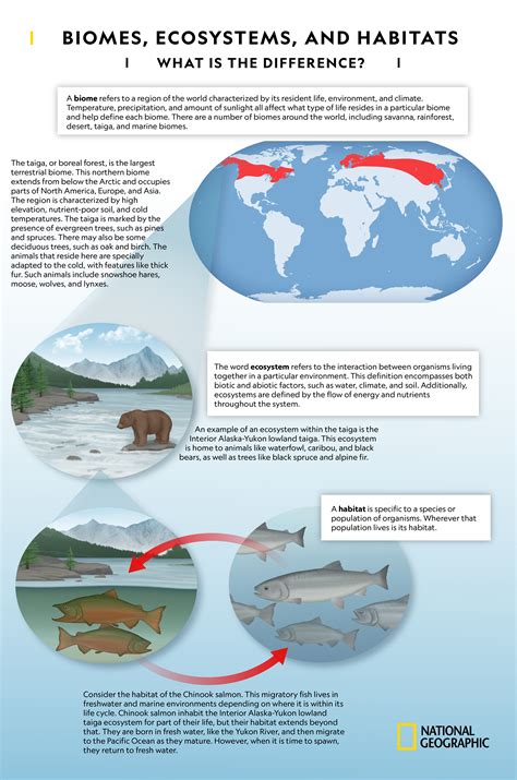 Examples Of Ecosystems In The World 8 Thousand Different Ecosystems