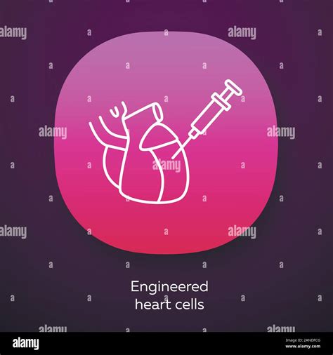 Engineered Heart Tissues Stock Vector Images Alamy