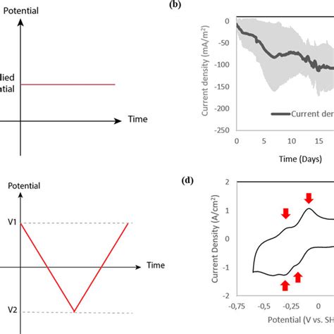 Chronoamperometry And Cyclic Voltammetry A Graphical Representation Download Scientific