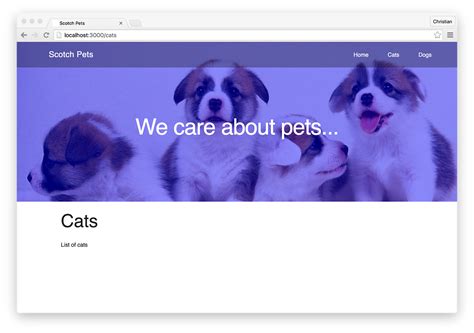 routing angular 2 single page apps with the component router by