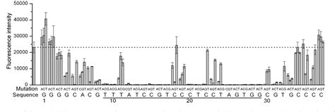 figure 3 from exploring the sequence space of a dna aptamer using