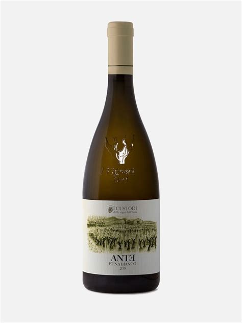 Progettazione Grafica E Illustrazioni Per Le Etichette Dei Vini De I