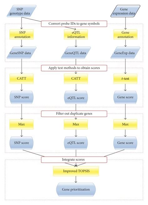Overall Procedure Of The Proposed Strategy For Gene Prioritization