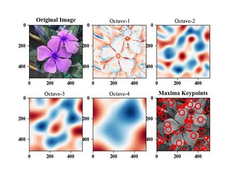 5 Finding Difference Of Gaussian For Blob Detection In The Images
