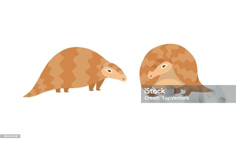 발톱 발 스탠딩 벡터 세트를 곁들인 판골린 또는 스칼리 안터 천산갑에 대한 스톡 벡터 아트 및 기타 이미지 천산갑 각질층 개미핥기 Istock