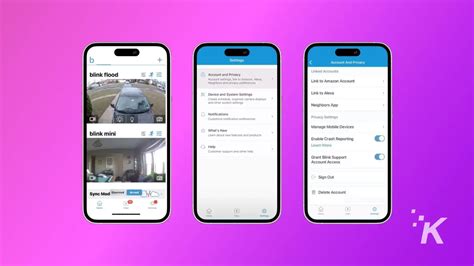 Cómo compartir el acceso a Blink Camera Techesi