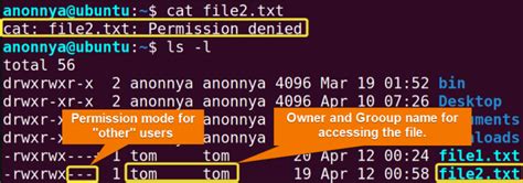 How To Give Permission To User In Linux 4 Methods