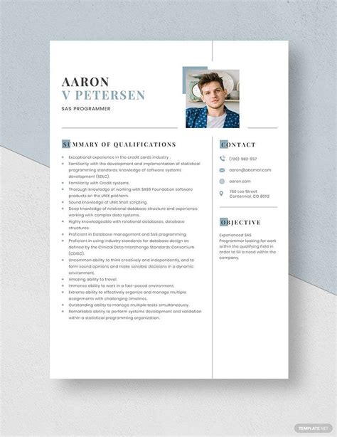 Clinical SAS Programmer Resume In Word Pages Download Template Net