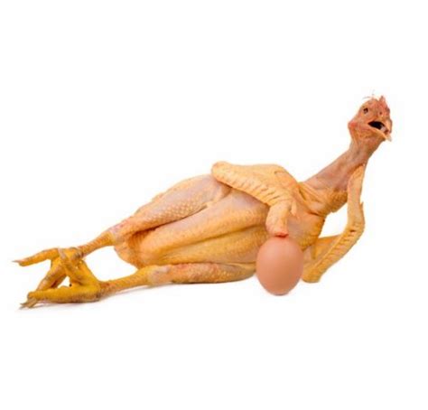 Naked Chicken Blank Template Imgflip