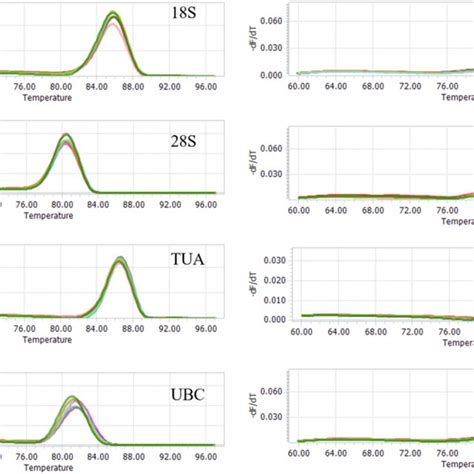 Dissolution Curve Of Candidate Internal Reference Primer Rt Qpcr Download Scientific Diagram