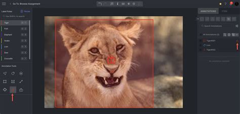 Create Review Qa Tasks