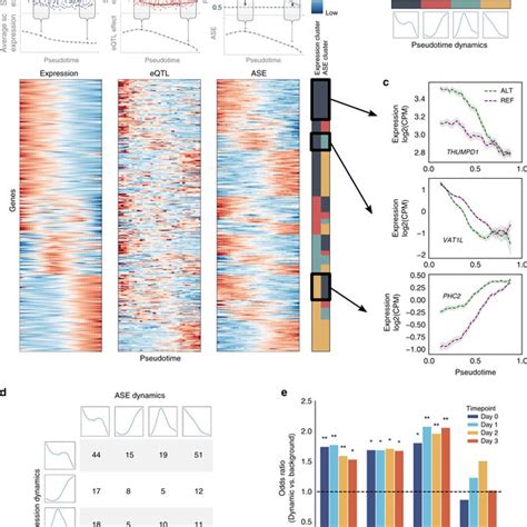 Allele Specific Expression Reveals Interactions With Fundamental Download Scientific Diagram