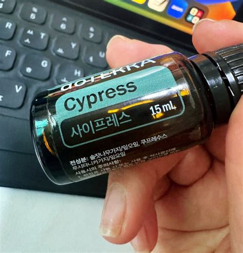 은평도테라 부종 혈액순환 다리가 무거울때 도움을 주는 도테라 오일 사이프러스오일 네이버 블로그