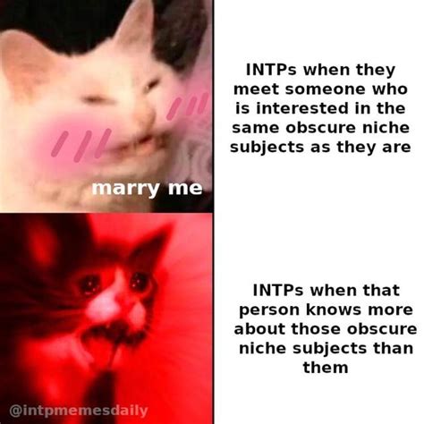 🤓 Intp Memes Every Day Na Instagramie „follow Intpmemesdaily For Your Daily Dose Of Accurate