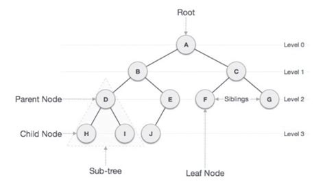 binary tree