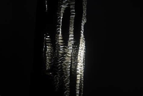 Gyroid Curve And Cavern Architectural Design Archive By Dpa Gyroid Curve And Cavern Architectural Design Archive By Dpa