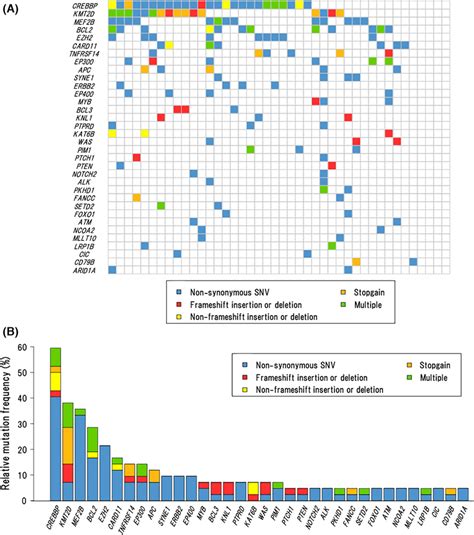 Landscape Of Somatic Mutations A Co‐mutation Plot Showing The Download Scientific Diagram