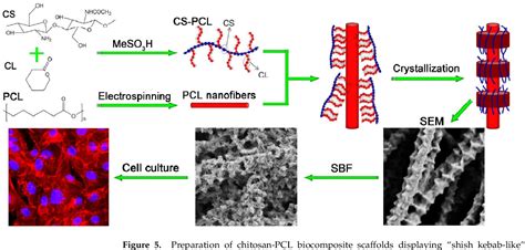 Figure 1 From A Review Of 3d Polymeric Scaffolds For Bone Tissue