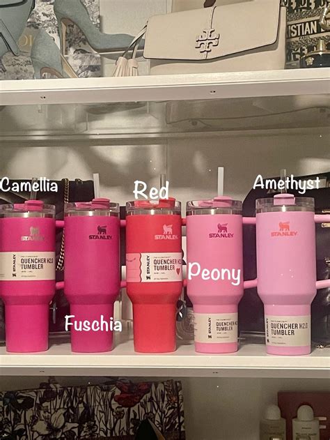 Pinks Comparison Rstanleycups