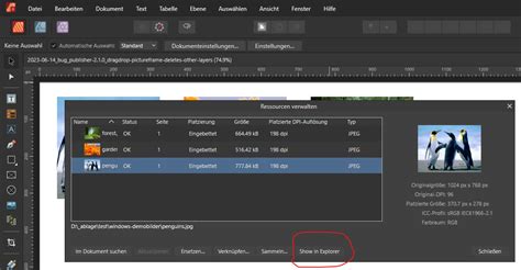 publisher beta 2 1 1 1847 windows german localization resource