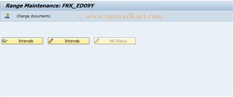 FPN6 09Y SAP Tcode Number Range Maintenance FKK ED09Y FPN6 09Y SAP Tcode Number Range Maintenance FKK ED09Y