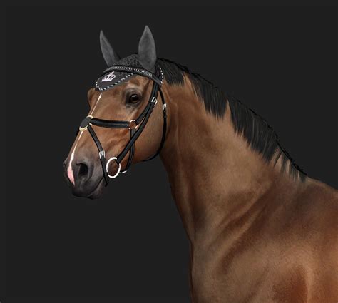 Figure 8 Bridle With 6 Different Browbands It S Not Perfect But I Am Tired Of It Already So I