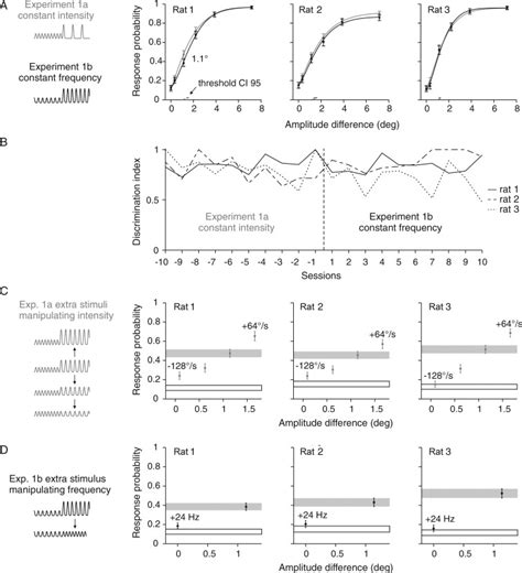 Vibrotactile Discrimination In The Rat Whisker System Is Based On Neuronal Coding Of