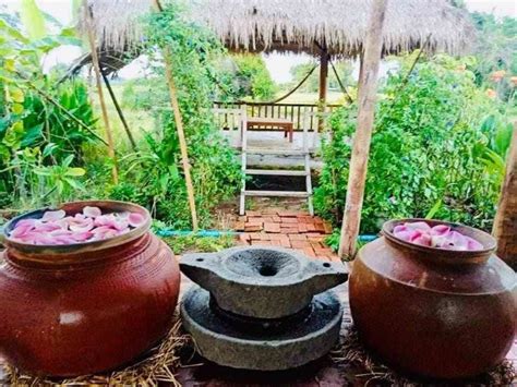 អាហារឆ្ងាញ់ៗបែបជនបទ ខ្យល់ត្រជាក់ក្រអូបក្លិនស្រូវទុំ នៅស្រុកស្រែពិតៗ ការពិតនៅមិនឆ្ងាយឡើយ Tnaot