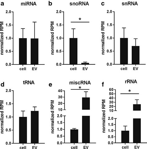 Multiple Rna Classes Display Cell Stimulation Dependent Association