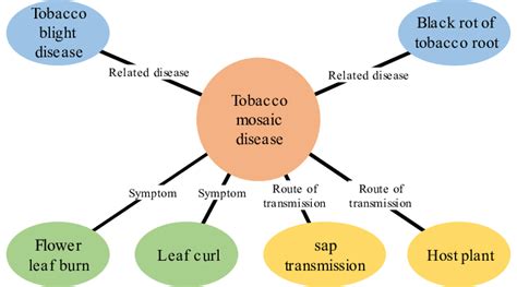 An Example Of Knowledge Graph Of Tobacco Disease Download Scientific Diagram