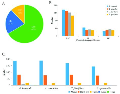 Ssr Simple Sequence Repeats Analysis Of Four Zingiberaceae