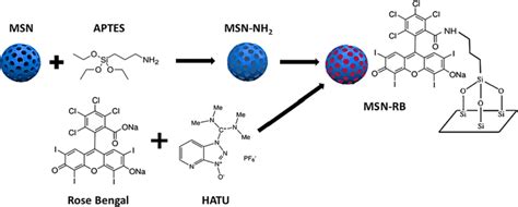 Functionalization Method To Immobilize Rb On Msn Aptes Produces Download Scientific Diagram