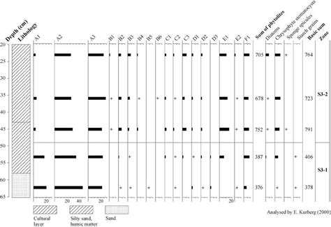 Distribution Of Phytoliths Morphotypes And Siliceous Microfossils In Download Scientific