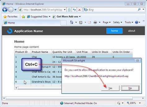 Silverlight 4 Data Grid Enhancements