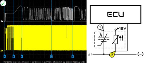 O2 Sensor Autoscope